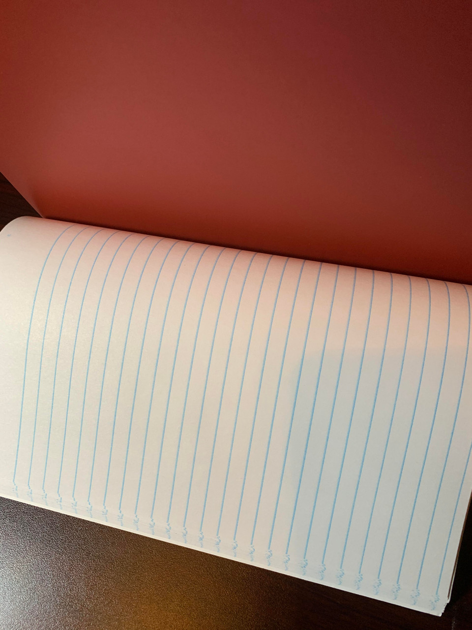 Personalized Journals 5" x 8 "- Journals -Ruled Journal - Writing ...