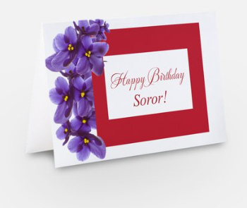 Delta Birthday Greeting Card - (1) Single Card Delta Sigma Theta ...