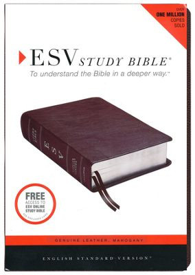 ESV Study Bible - Positive Stationery & Gifts, LLC