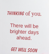 Get Well Violets - Delta Get Well - African Violets - Get Well Soror ...