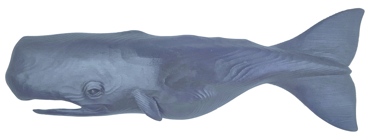 Small Sperm Whale - Gray