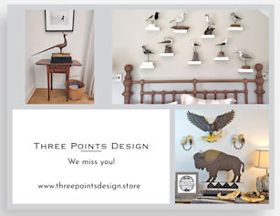 What's new? - Shop Three Points Design