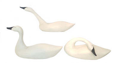 Mini Swans