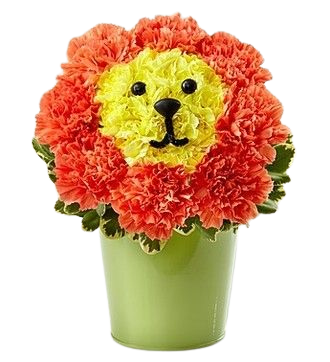 Albuquerque Florist Shops | Albuquerque Florist