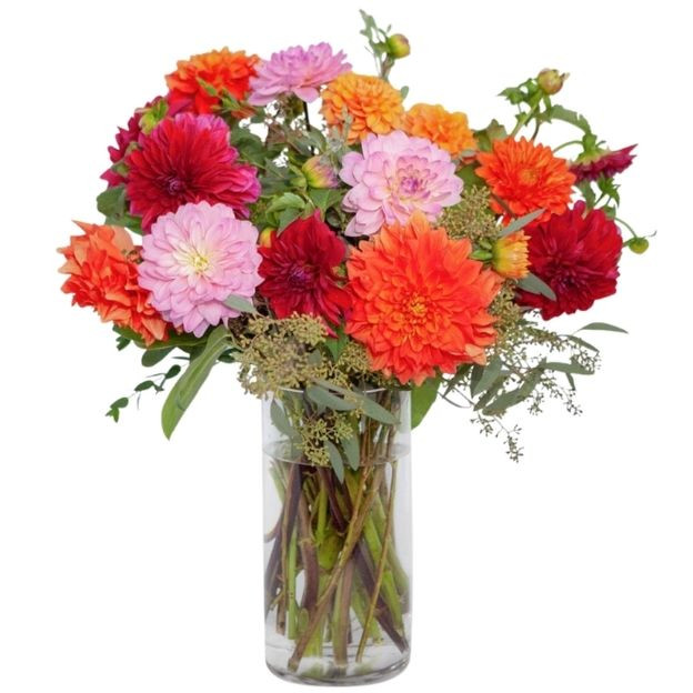 Albuquerque Florist | Same‑Day ABQ Flower Delivery