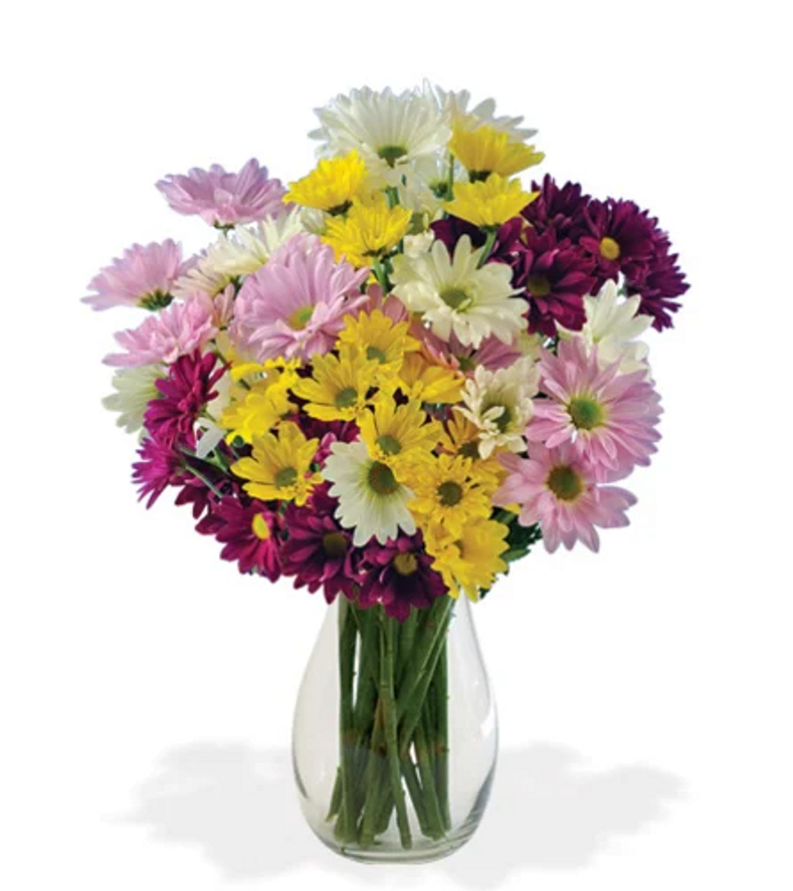 Albuquerque Florist Shops | Albuquerque Florist