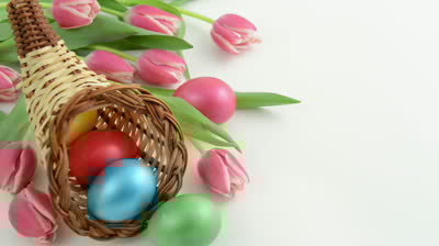The Meaning of Easter Flowers - Albuquerque Florist