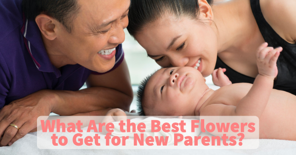 What Are the Best Flowers to Get for New Parents? - Albuquerque Florist
