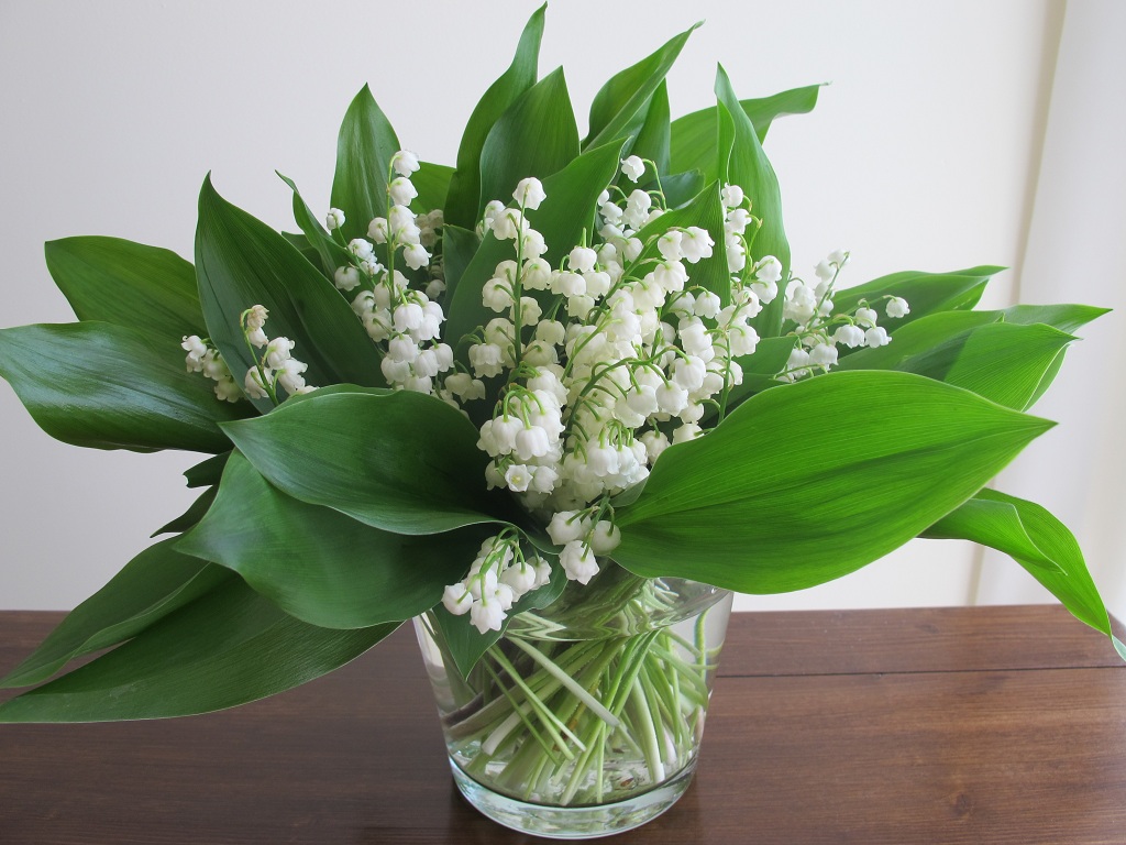 The Birthflower for May - Albuquerque Florist