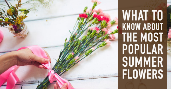 What to Know About the Most Popular Summer Flowers - Albuquerque Florist