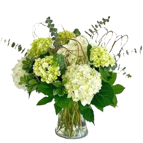 RiRi White Hydrangea Green Hydrangea Curly Willow Same Day Flower ...