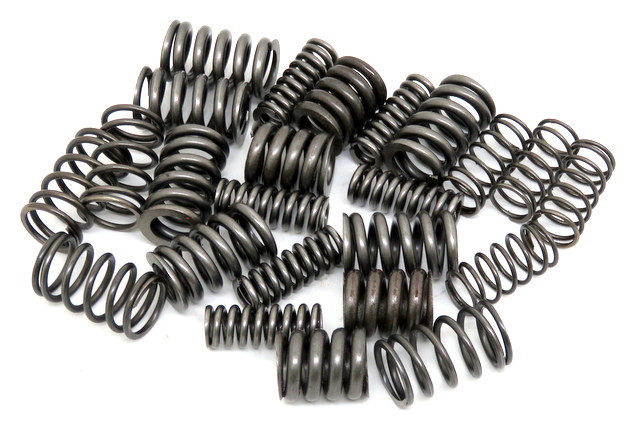 MPS6 (DCT450) Automatic Transmission Spring Kit | Compatible With Land ...