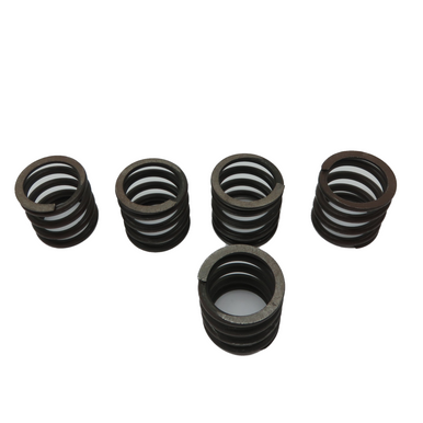 4L60 Accumulator Spring (Enhanced Performance) (5 per bag) - Cobra ...