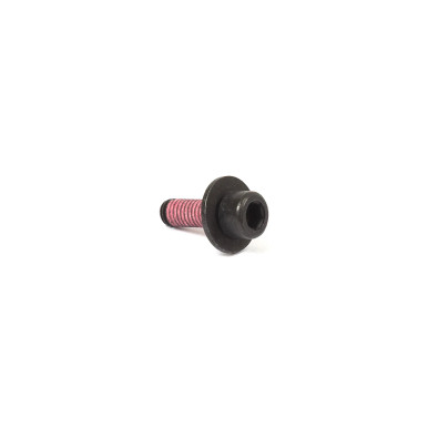 Briggs & Stratton LO206 Intake Manifold Bolt