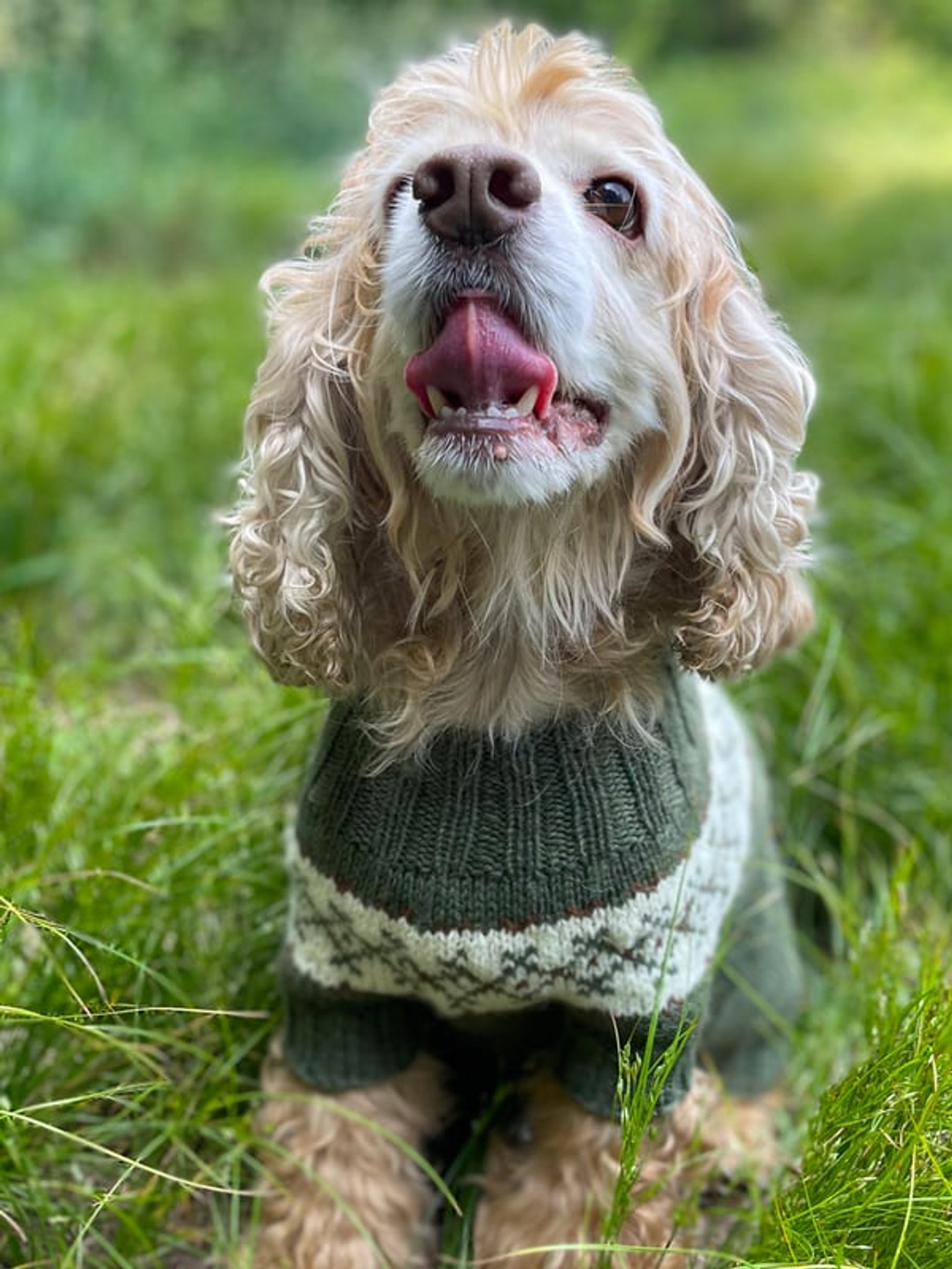 Fetch - Berroco Yarn Fetch - Berroco Yarn