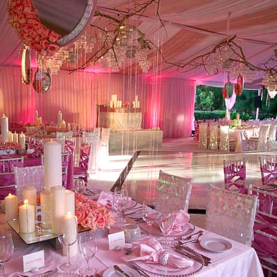 Pink Party with Sparkling Crystals Pink Paradise Party ShopWildThings