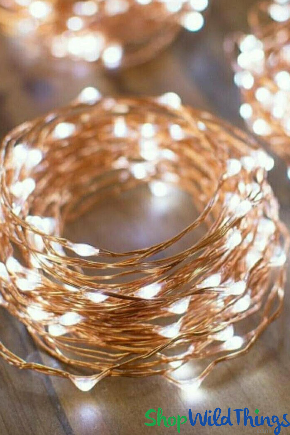 Fairy String Light 32' | 100 Warm White LEDs | ShopWildThings.com