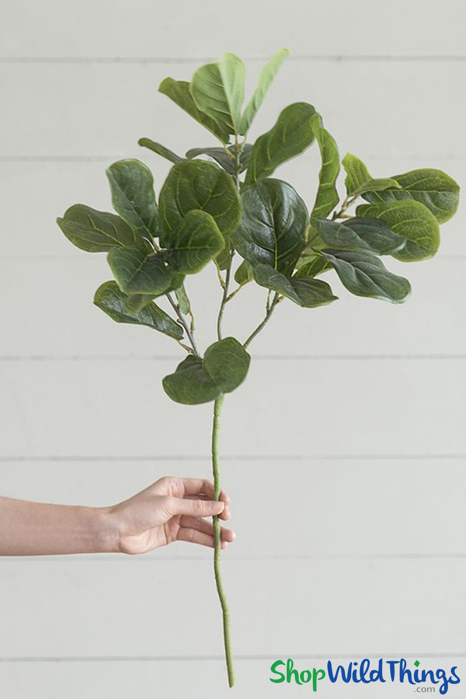 Faux Greenery Fiddle Leaf Fig Spray |ShopWildThings.com