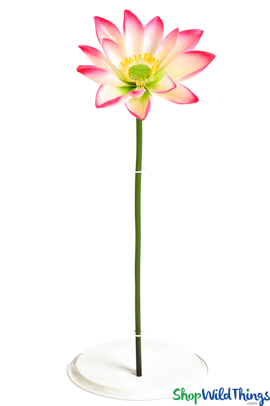 XL Artificial Fuchsia Pink & White Lotus on Bendable Stem 36" Tall x12 ...