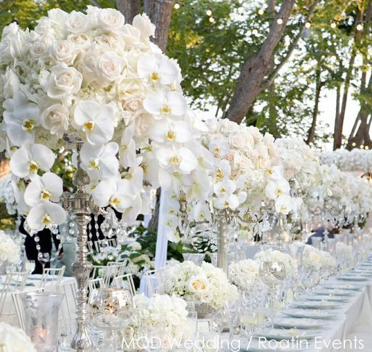 White Orchid Spray - Real Feel - 50" - Phala "Real Touch"