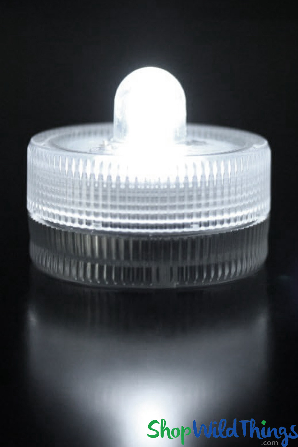 Waterproof White LED Lights for Weddings & Centerpieces ...