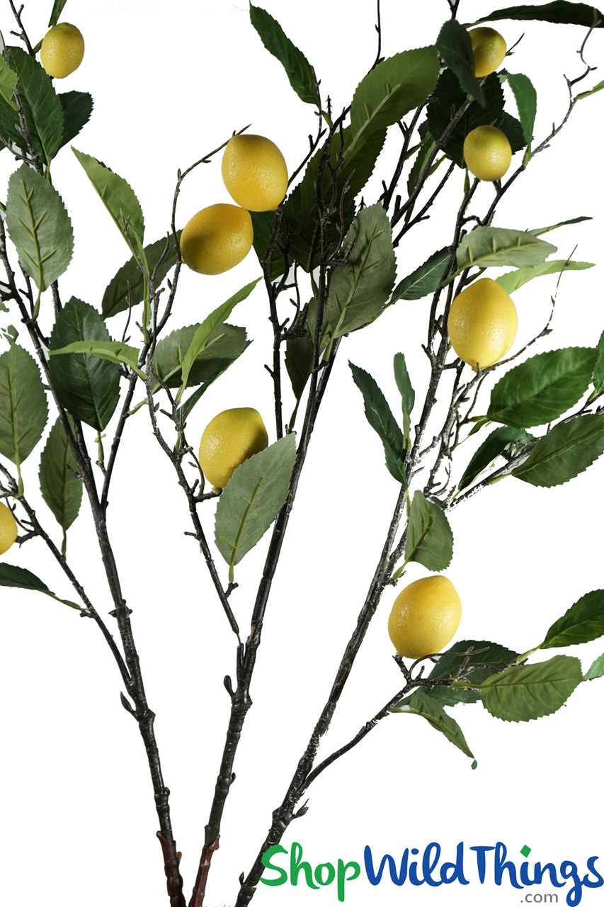 Lemon Tree, Realistic Looking Centerpiece or Floor Tree | 7' Tall ...