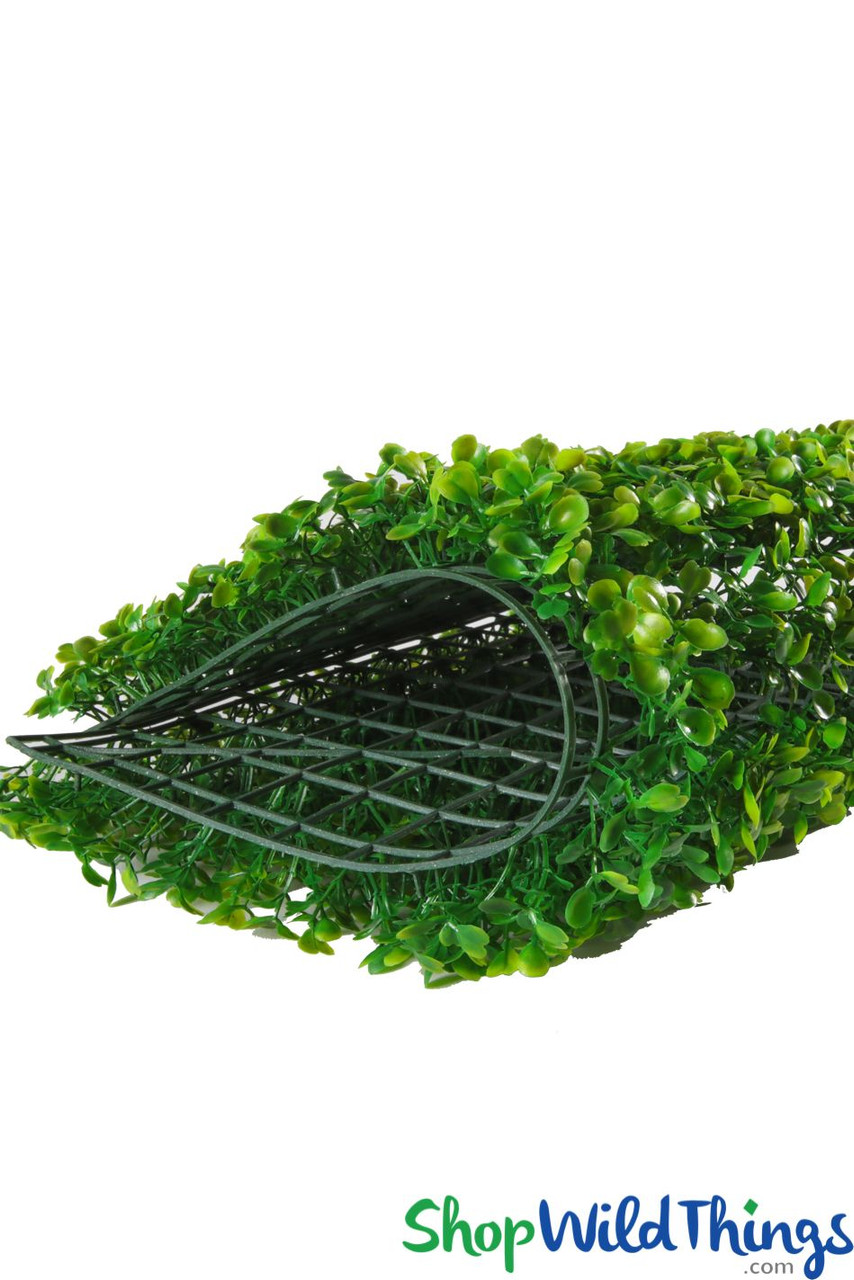 Boxwood Wall Backdrop Kit|8' Wide x 8' Tall|ShopWildThings.com