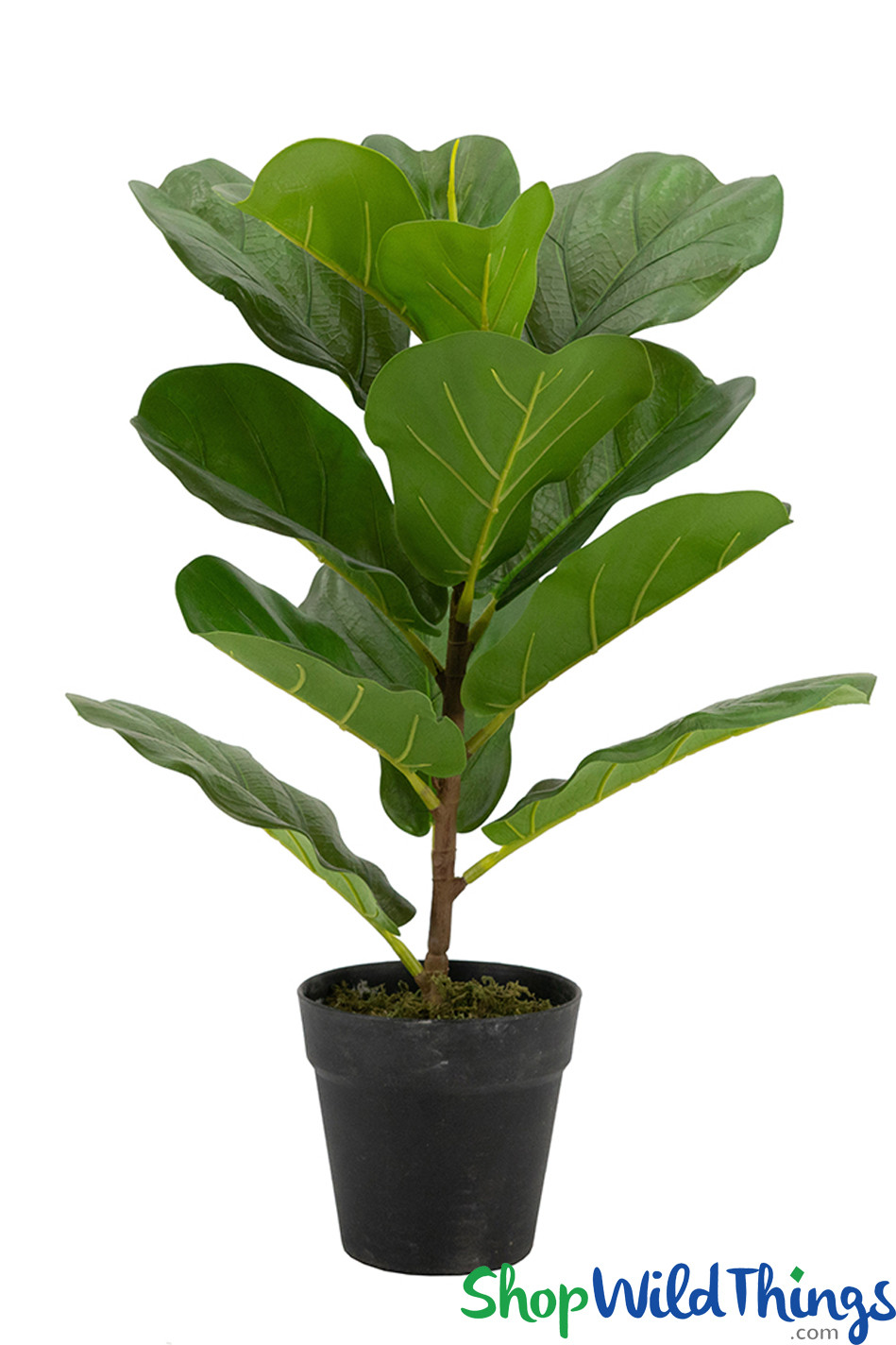 Nearly Natural Fiddle Leaf Plant | ShopWildThings.com