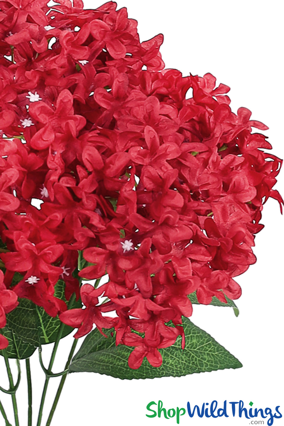 Red Star Hydrangea Bush| ShopWildThings.com