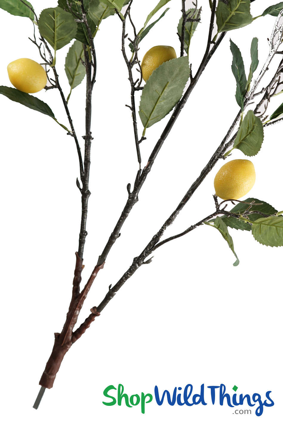 Artificial Lemon Tree, Realistic Looking Tree | 7' Tall