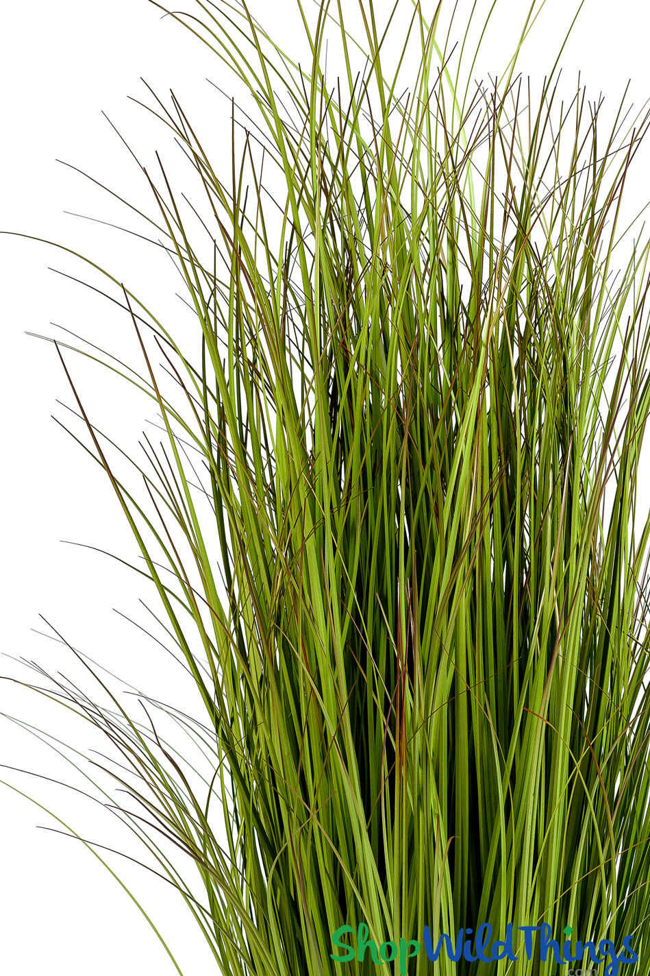 Fake Lifelike Golden Sword Grass, 24" Wide by 35" Tall | ShopWildThings.com