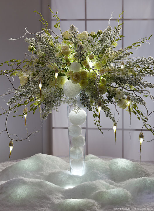 Acolyte E-Maxi Illuminator 8" LED Light Disc by Acolyte - Centerpiece ...