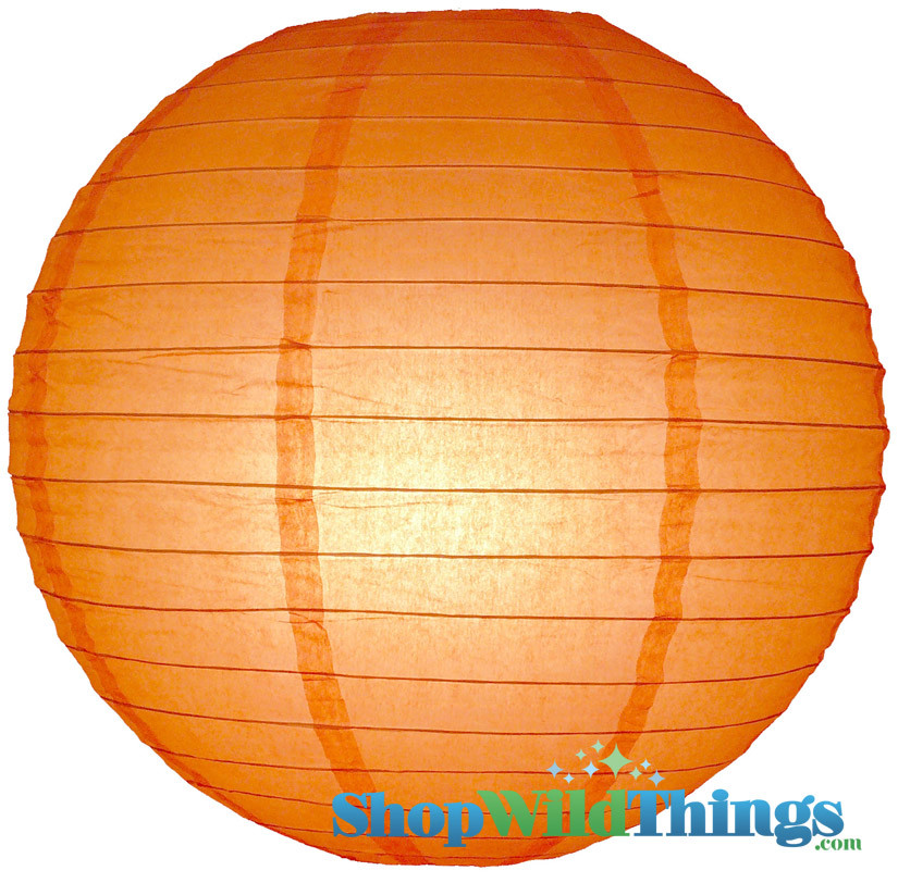 Hanging Paper Lanterns With Lights | ShopWildThings