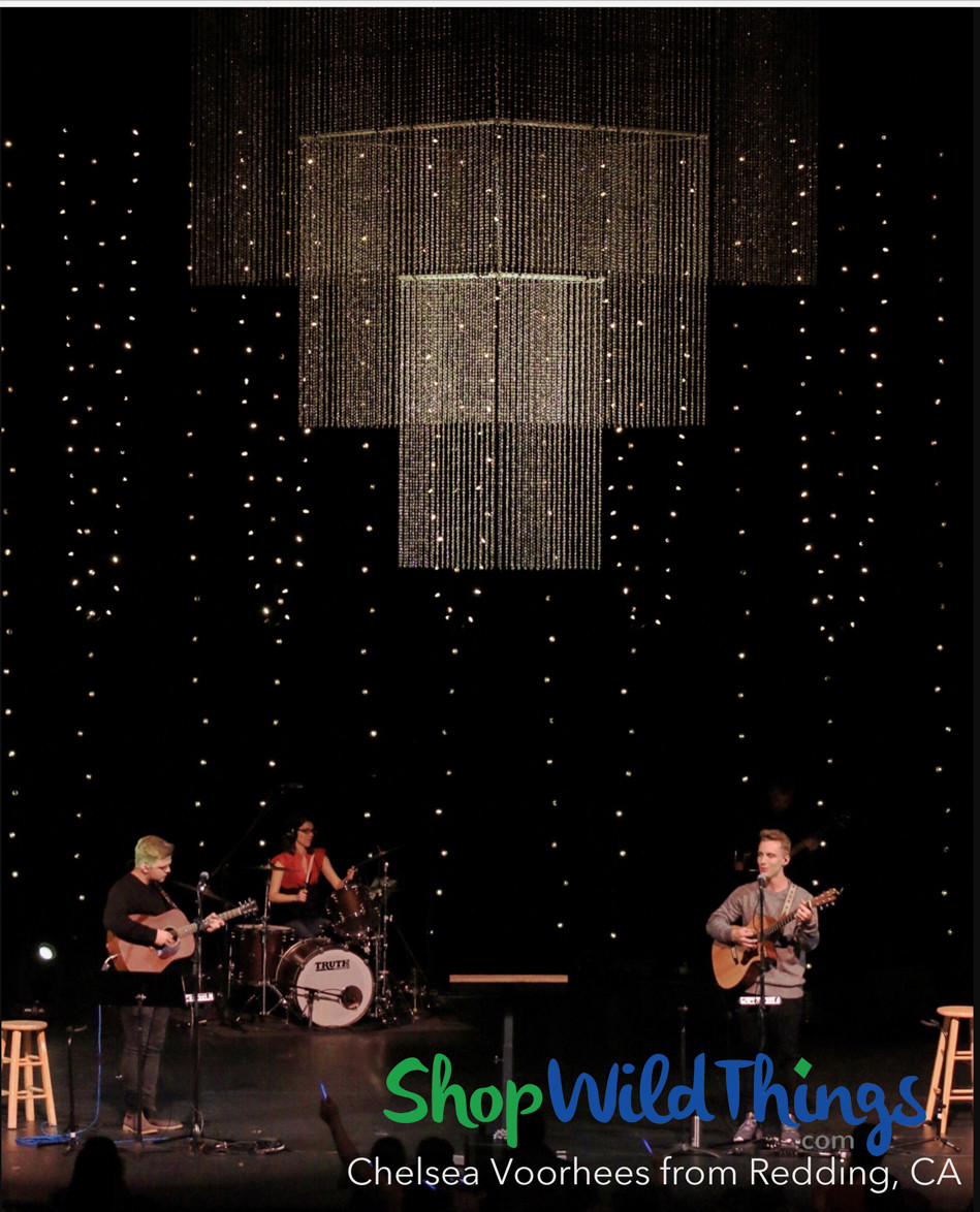 Large Diamonds Beaded Curtains Wedding Backdrops|ShopWildThings