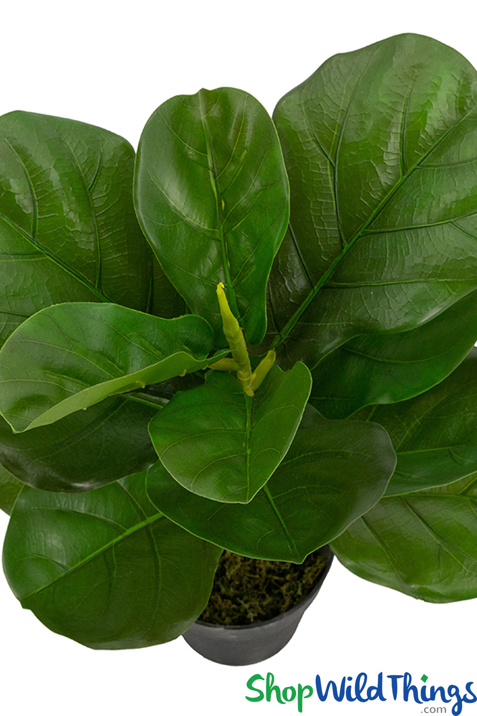 Nearly Natural Fiddle Leaf Plant | ShopWildThings.com