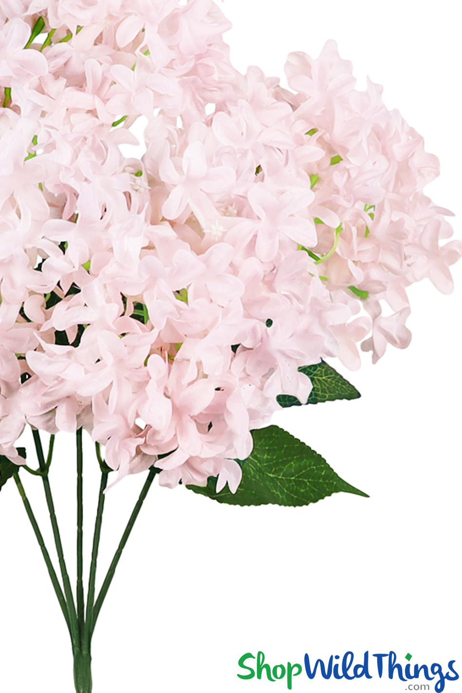 Light Pink Star Hydrangea Bush| ShopWildThings.com