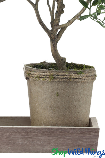 Frosted Set of 2 Tealeaf Double Topiary in Wood tray - Green - 11" Tall ...