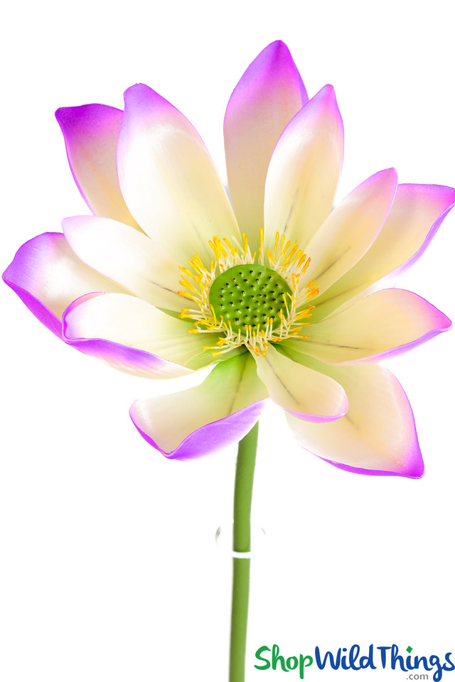 Large Artificial Purple & White Lotus on Bendable Stem 36" Tall x12 ...