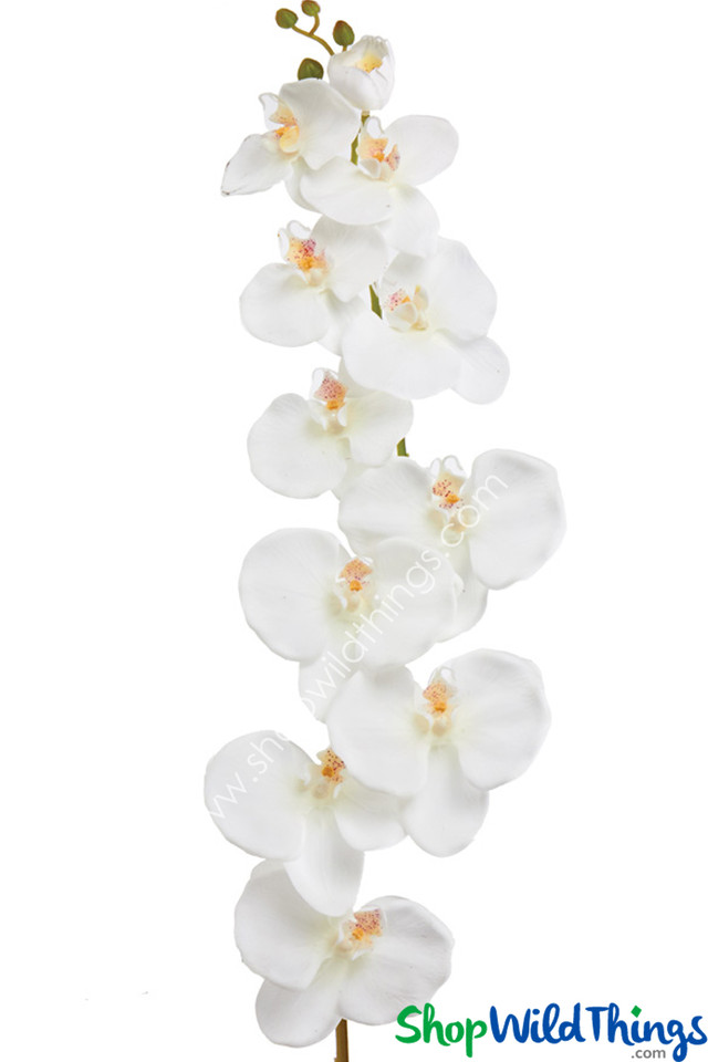 White Orchid Spray - Real Feel - 50" - Phala "Real Touch"