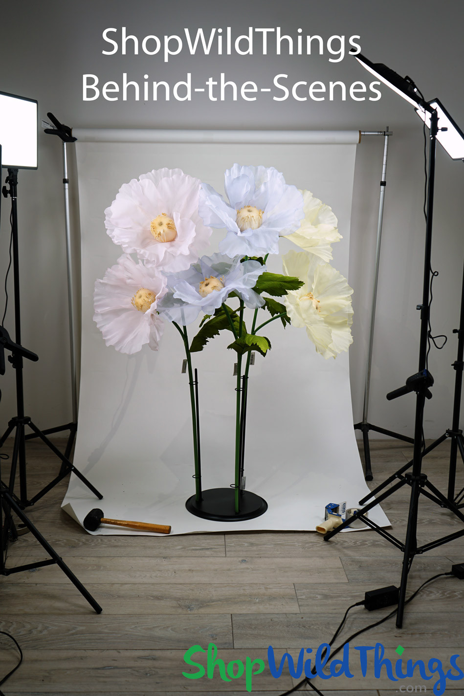Huge Light Yellow Oversized Sheer Ethereal Voile Poppy Flowers 53"H ...