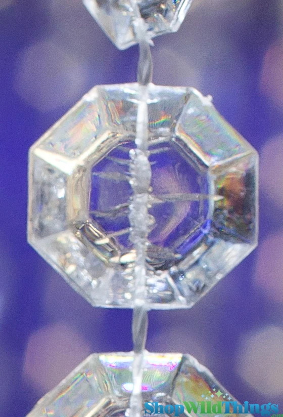 Clear Beaded Crystal Curtain - 12' Long - Event Decor - ShopWildThings.com