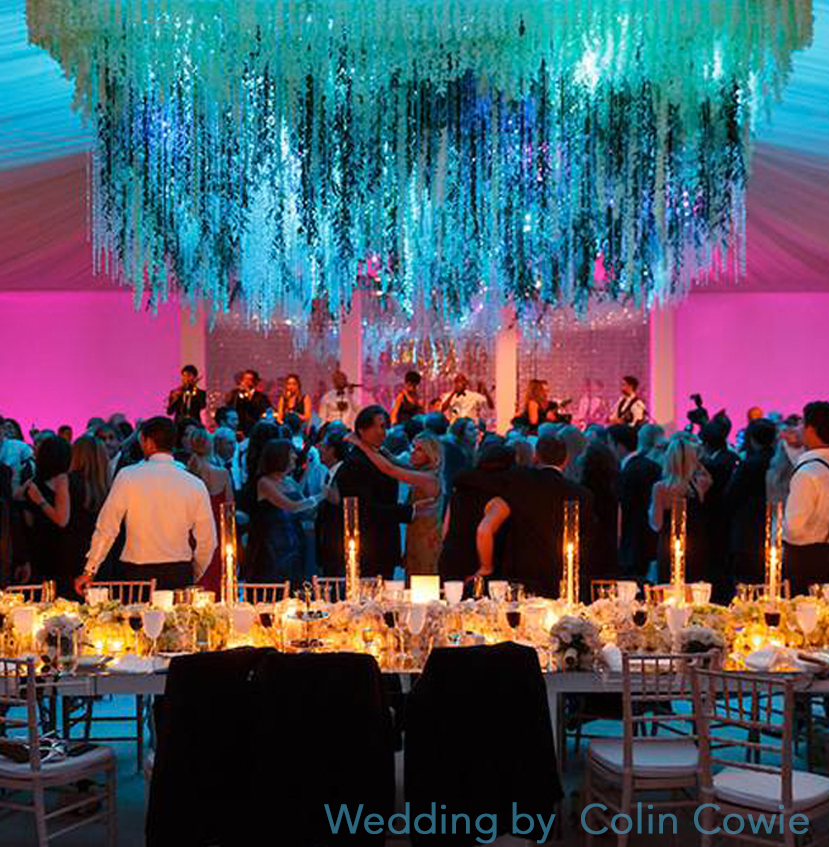 Ceiling Decor for Weddings, Events & Stores | ShopWildThings