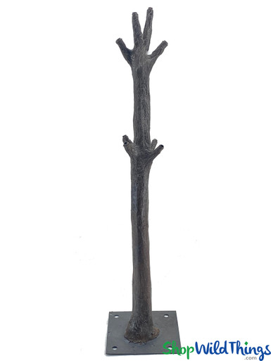 Bare Brown Tree Trunk | Event Decor | ShopWildThings.com