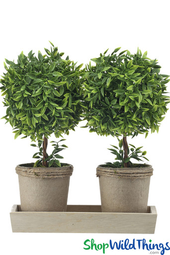 Tealeaf Double Topiary in Wood tray - Green - 9.50" Tall ...