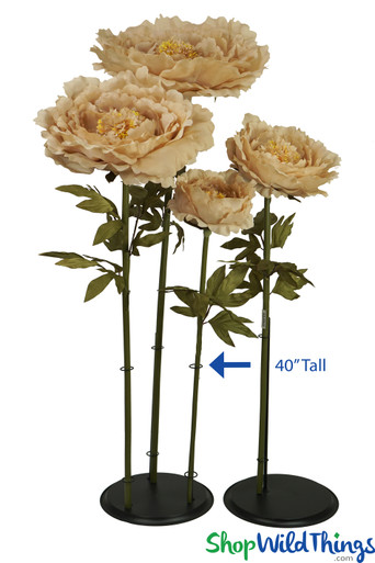 Giant Long Stem Silk Sand Peonies | Wedding & Event Decorations