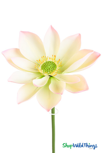 XL Fake Pink & White Lotus on Bendable Stem 36" Tall x12" Wide ...