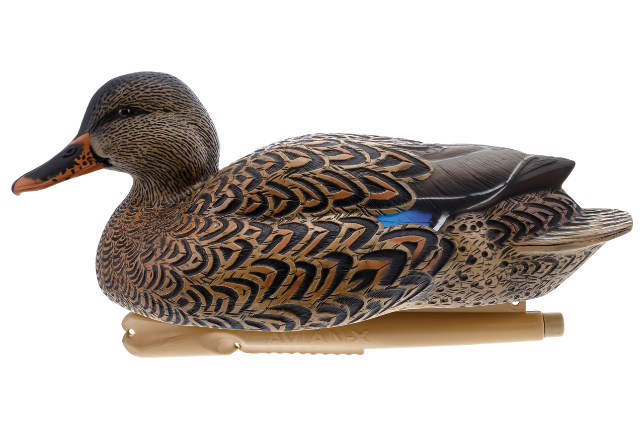 Topflight Oversized Mallards | Avian-X | Shop