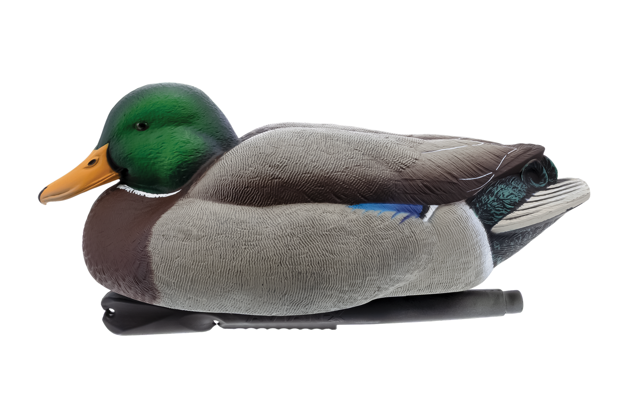 Topflight Oversized Mallards | Avian-X | Shop