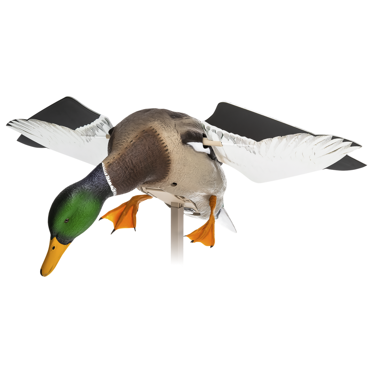 AVX Spinning Wing Duck