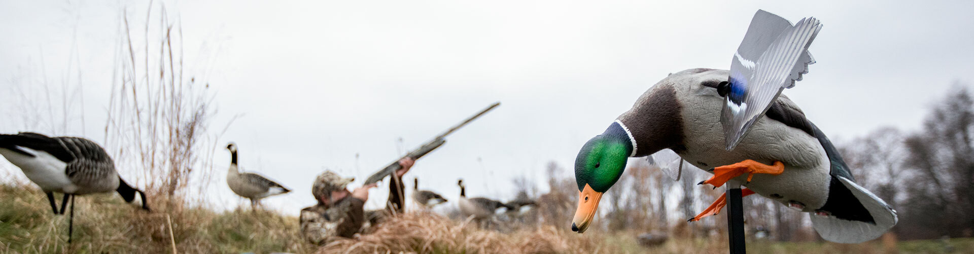 Motion Decoys | Spinning Wing Duck Decoys By Avian-X